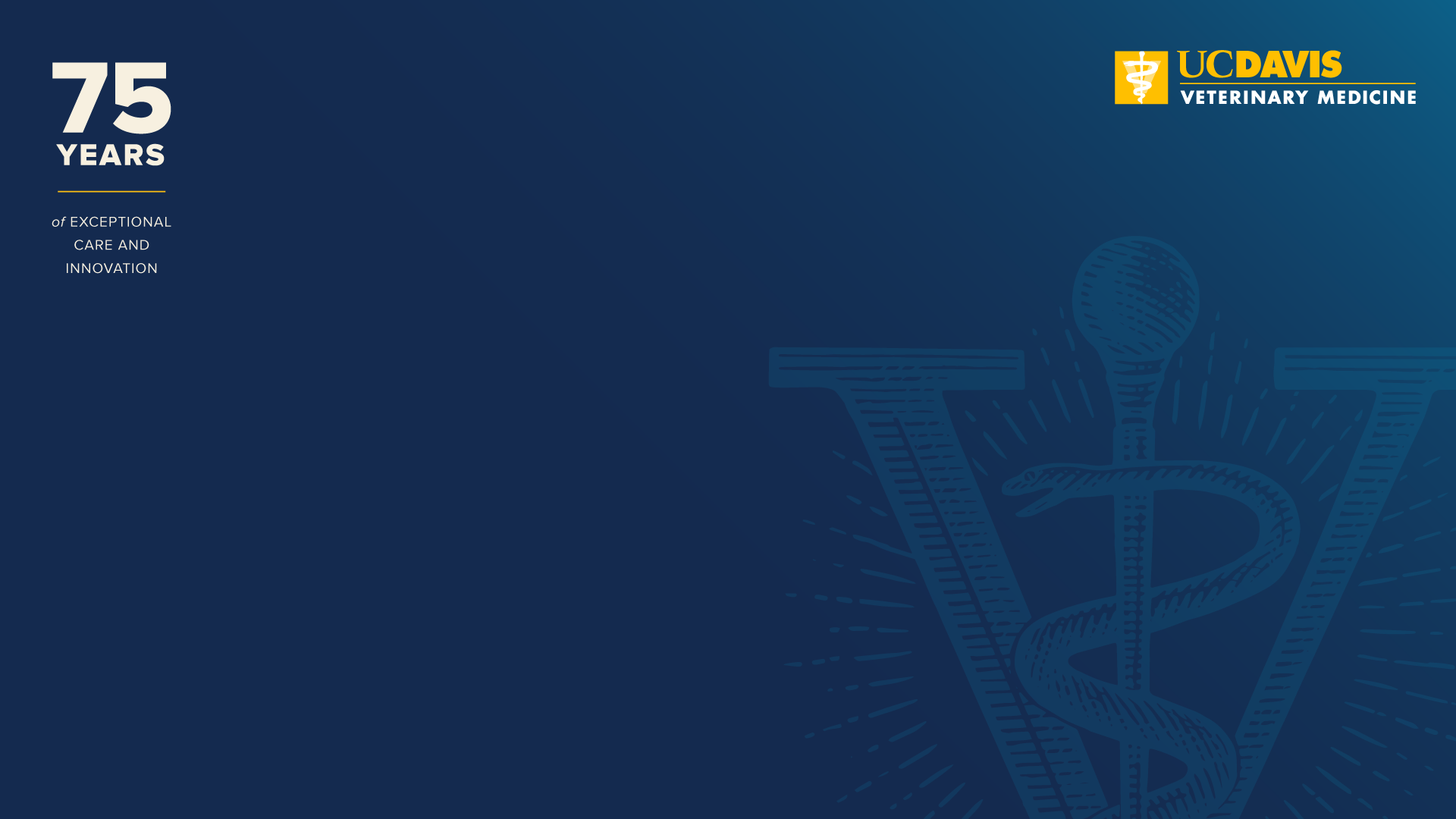 School of Veterinary Medicine - Vet Med Zoom Backgrounds