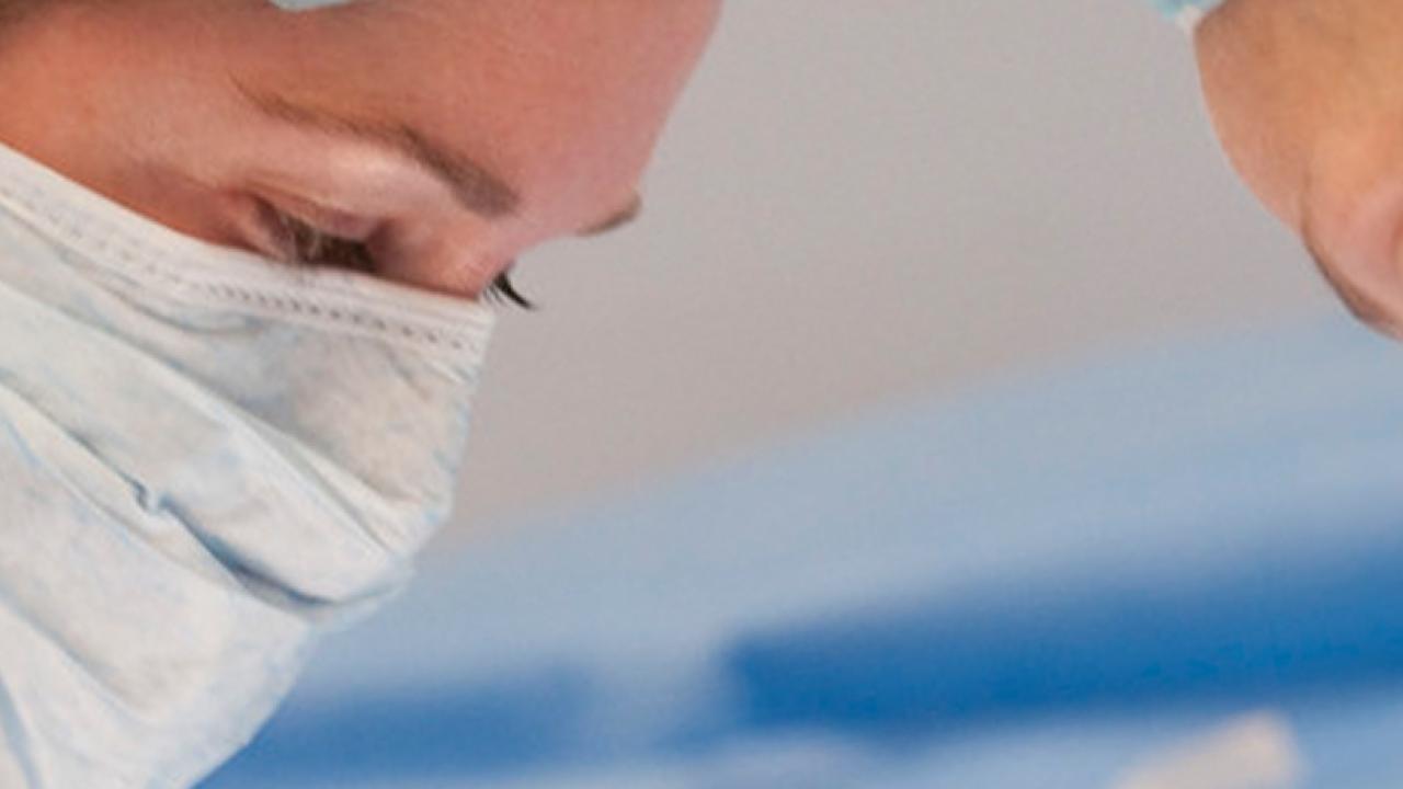 Anesthesiology Service | School of Veterinary Medicine