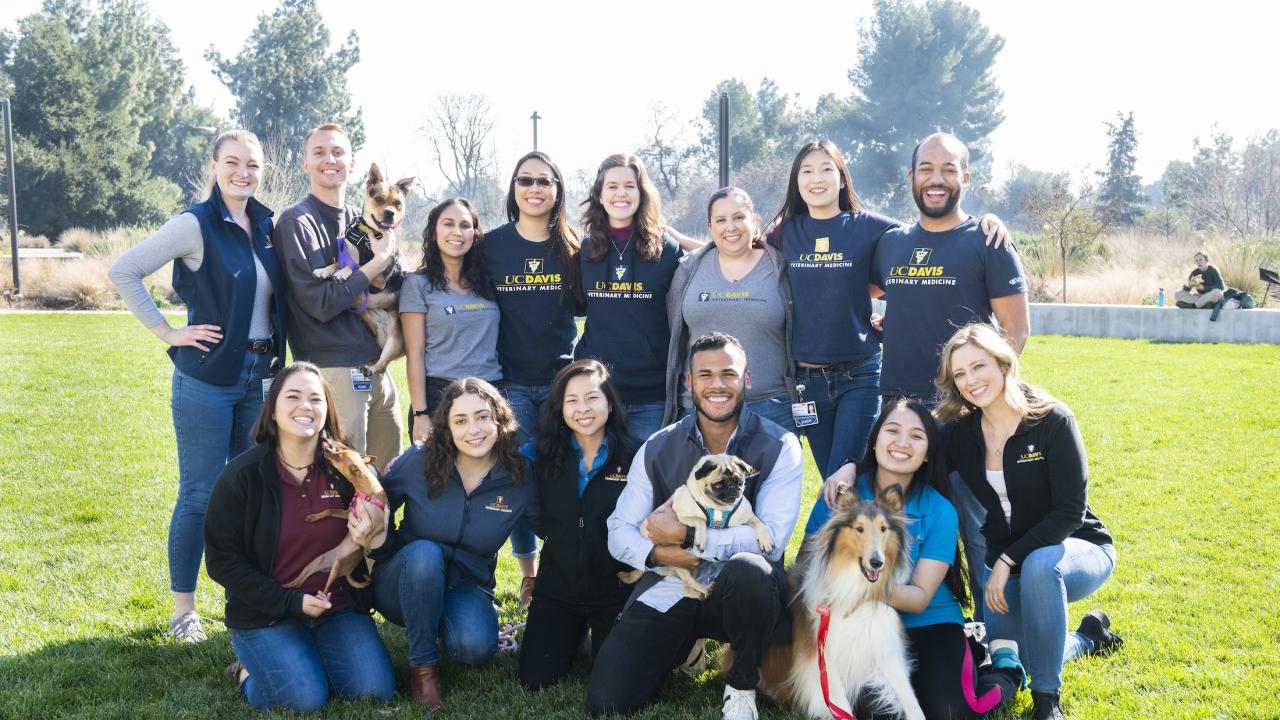 Celebrating New Students and Alumni! | School of Veterinary Medicine