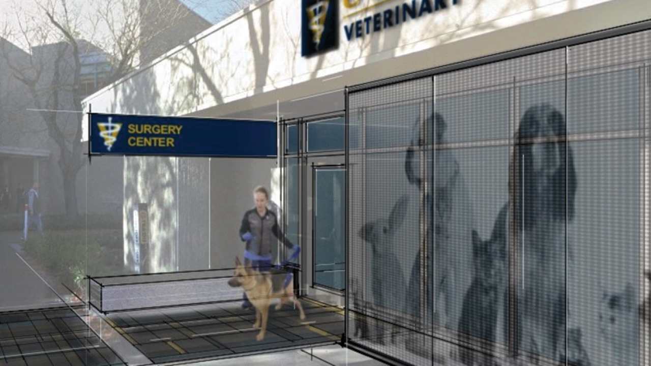 Advanced Veterinary Surgery Center | School of Veterinary Medicine