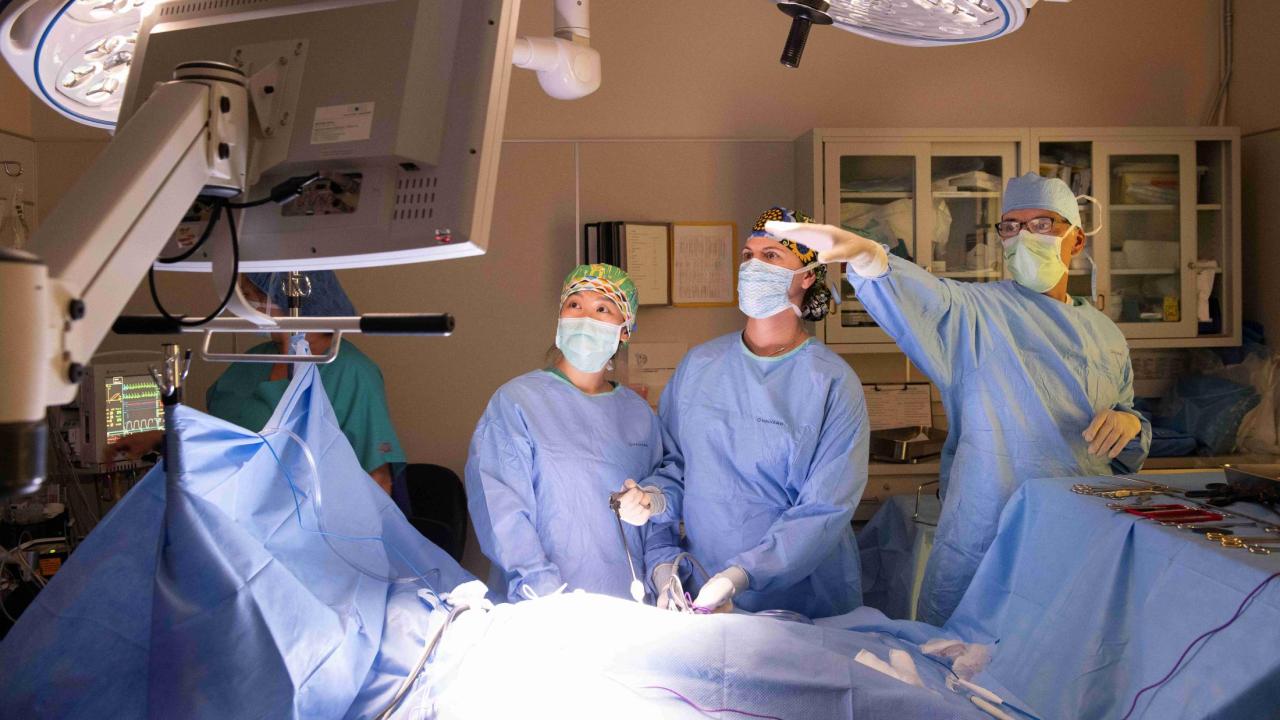 Dr. Philipp Mayhew Wins British Veterinary Award | School of Veterinary ...